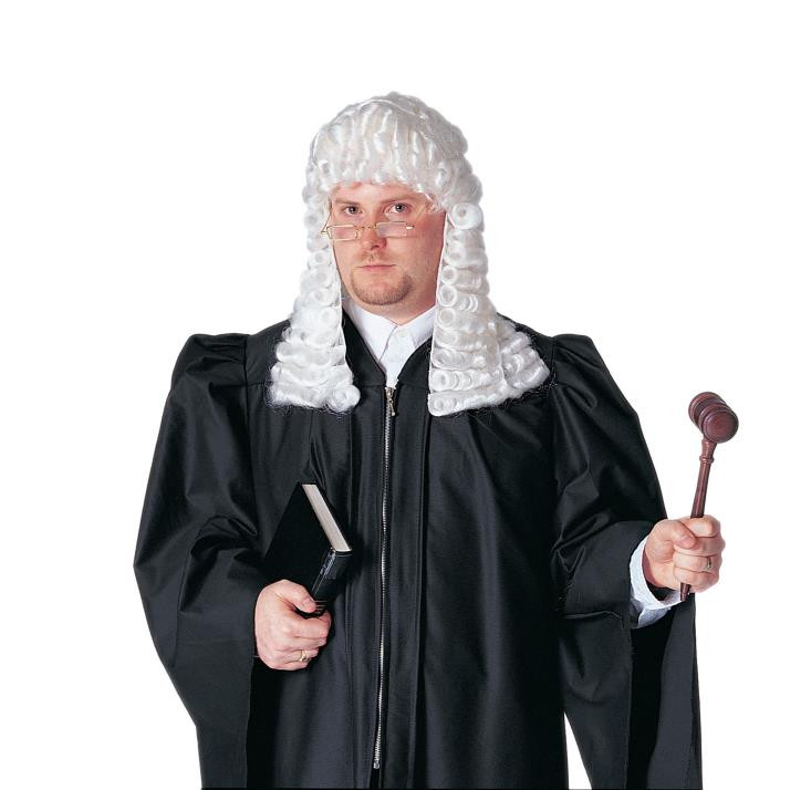 18th Century Judge Barrister Wig | Character Wigs - The Costume Shoppe