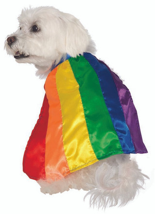 Rainbow Pride Flag Cape - The Costume Shoppe