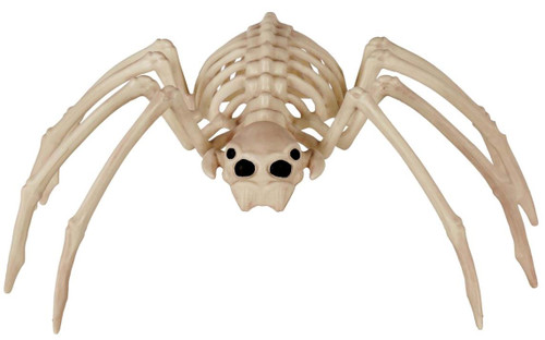 Spine Chilling Spider Skeleton | Halloween Decorations | Decor - The ...