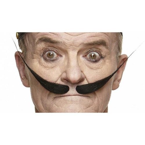 Salvador Dali Facial Hair | Black | European Moustaches | Applications ...