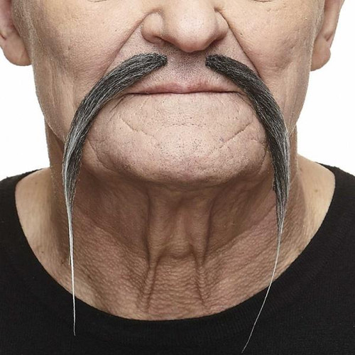 Salt and Pepper Chinese Mustache | Theatrical Facial Hair | Makeup ...