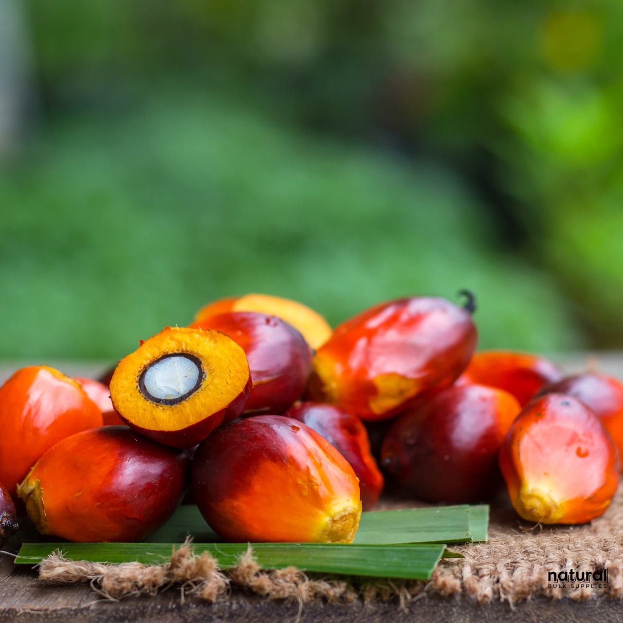 Palm Kernel Flakes | RSPO Sustainable Soap Hardener | Bulk