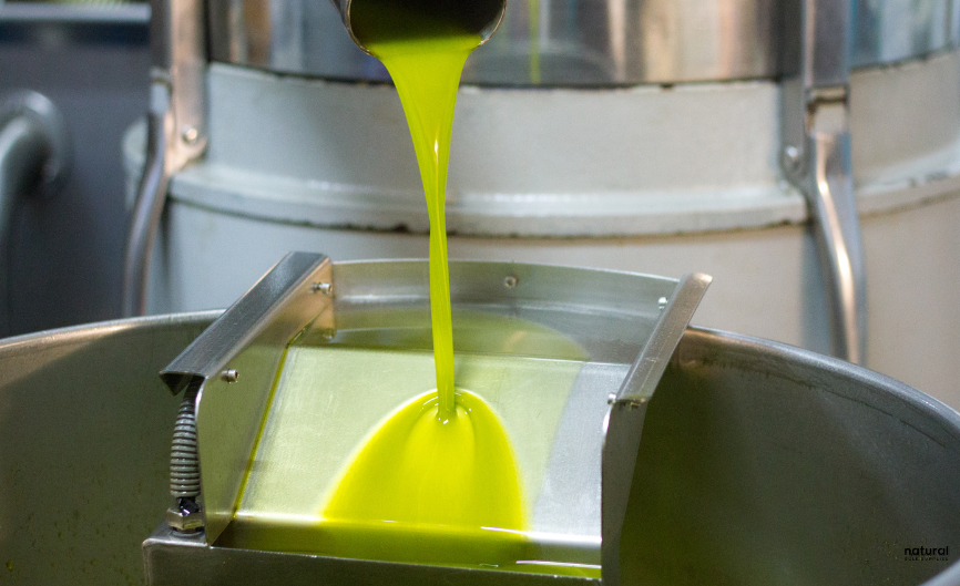 The Art of Extracting Vegetable Oils: A Journey from Seed to Bottle ...