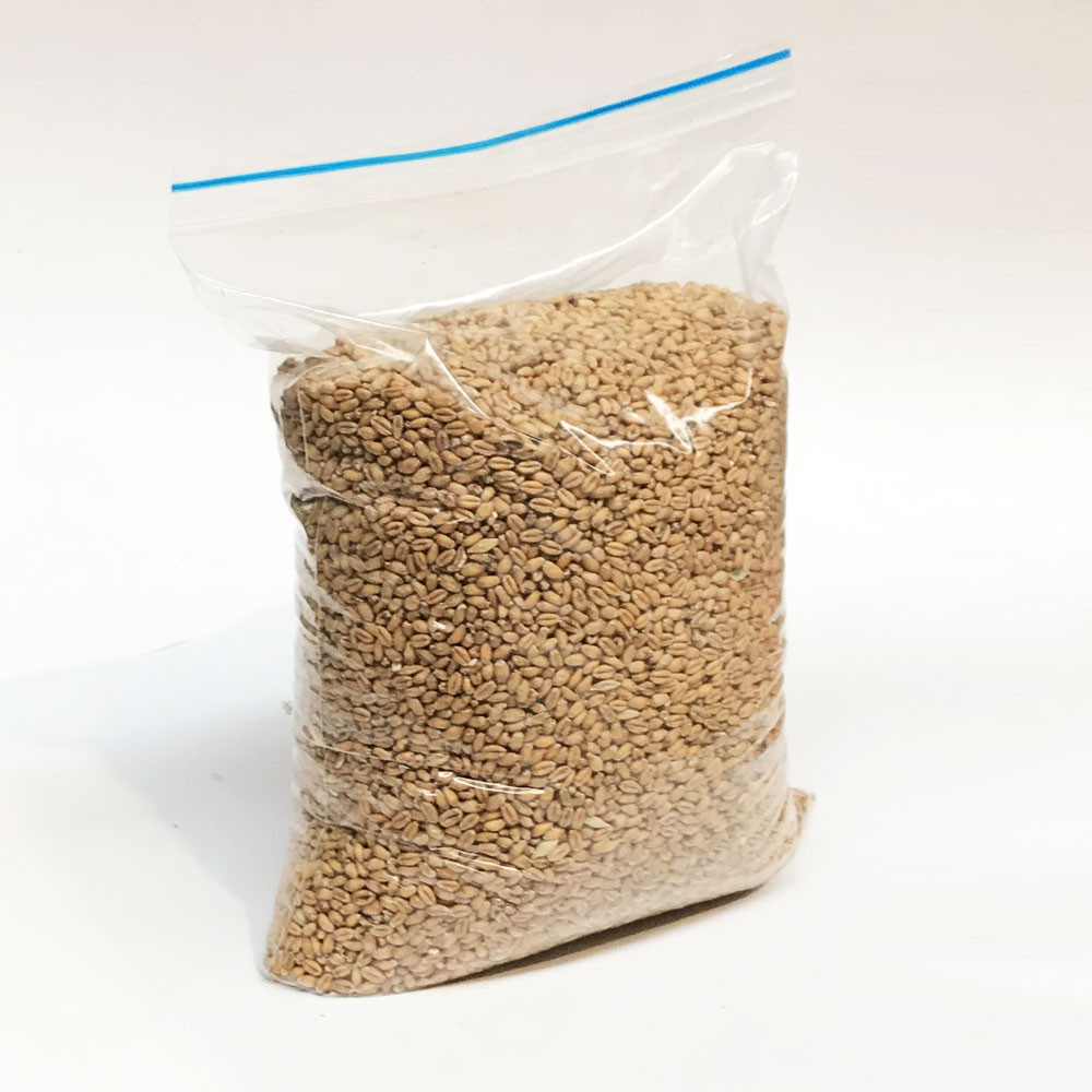 Acidulated Malt