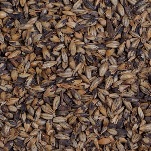 Malts and Grains for Brewing