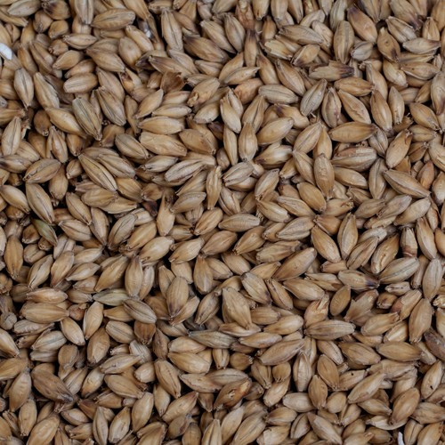 Pale Malt (NZ)