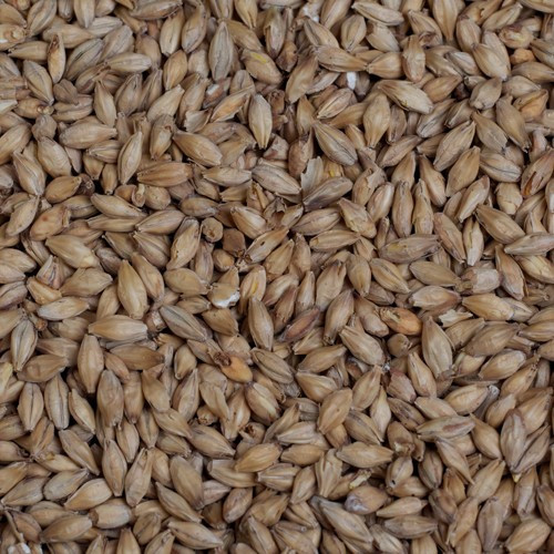 Acidulated Malt