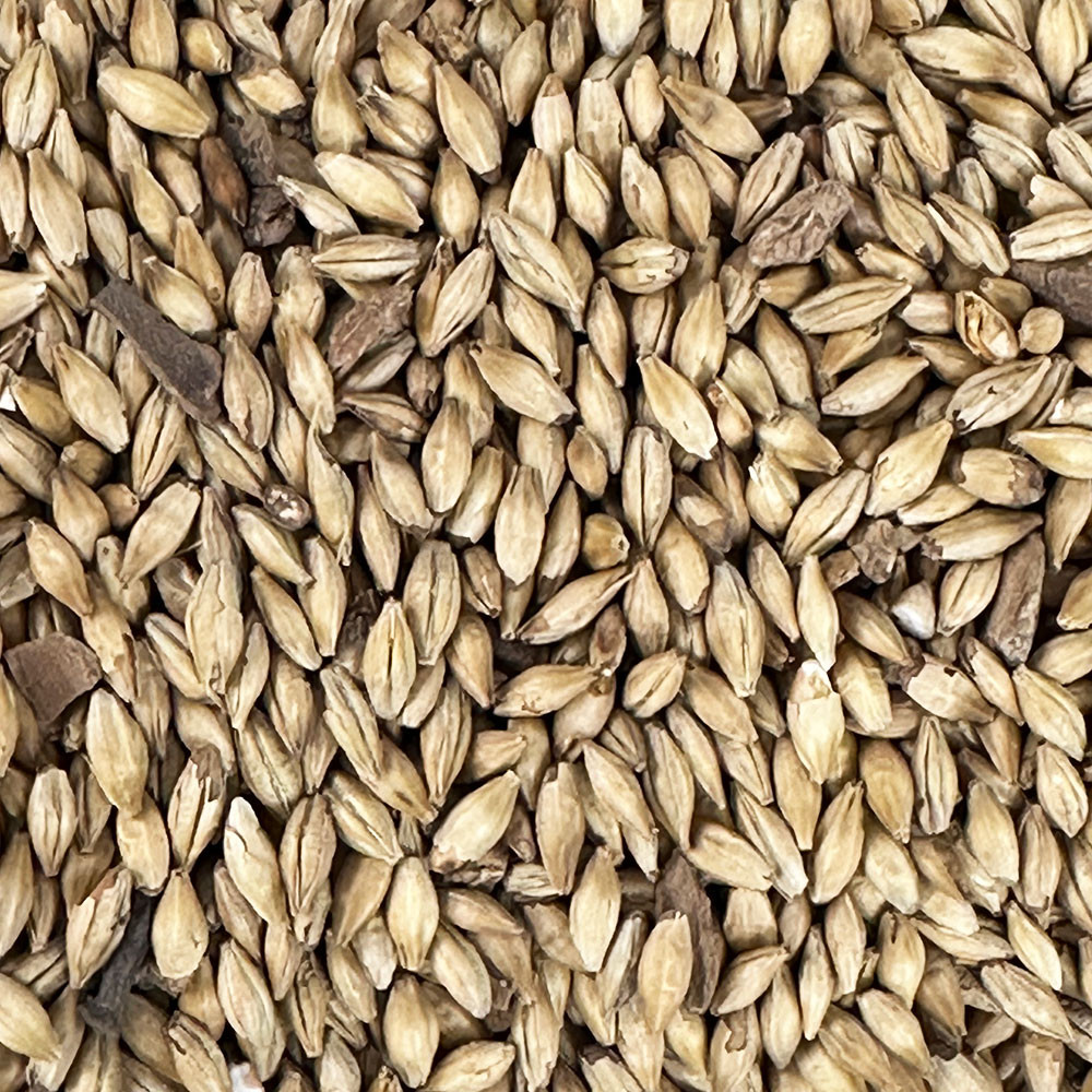 Malts and Grains for Brewing