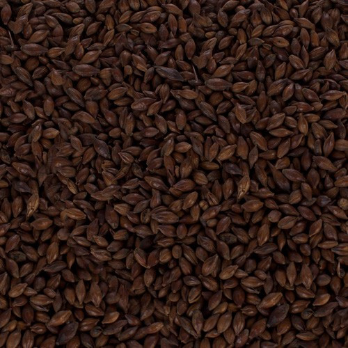 Chocolate Malt (Pale)