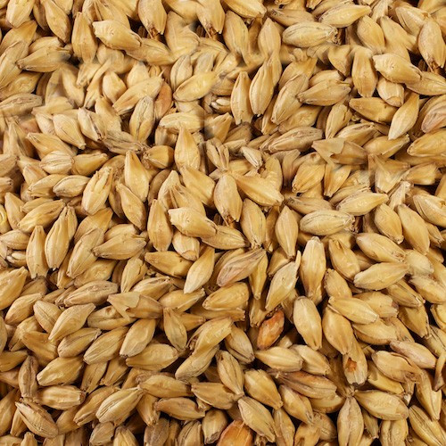 Pale Malt (NZ)