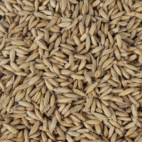 Rolled Oats