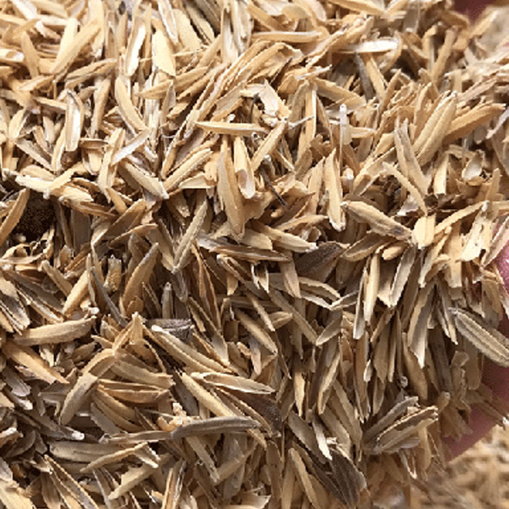 Rice Hulls