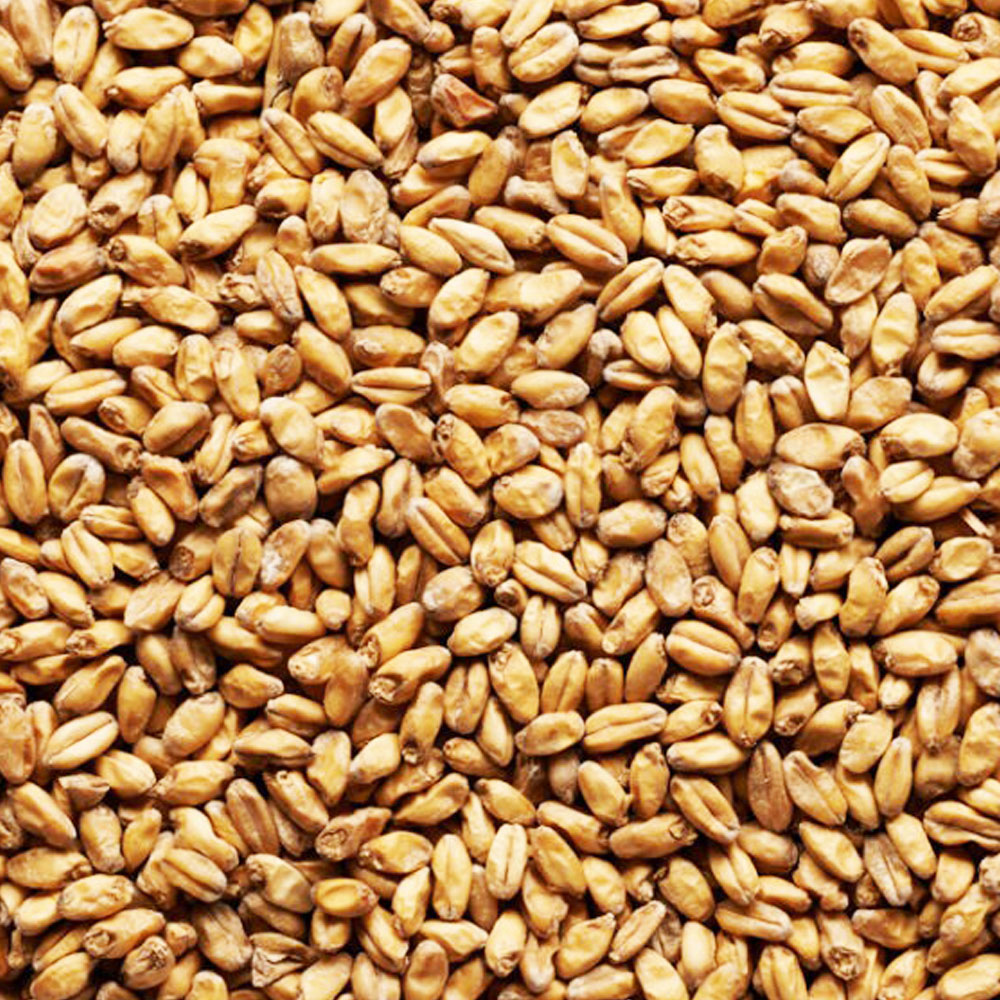 Wheat Malt (White)
