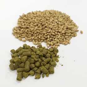 Recipe Building - Brewshop.co.nz