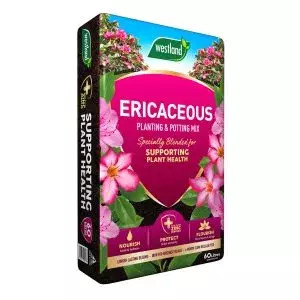 Westland Ericaceous Compost 50L *2 for £16* INSTORE PURCHASE ONLY