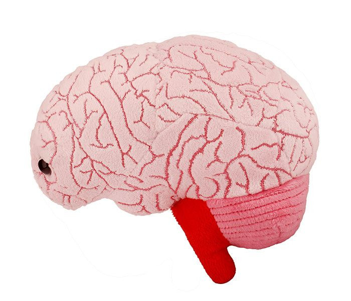 Brain Plushie