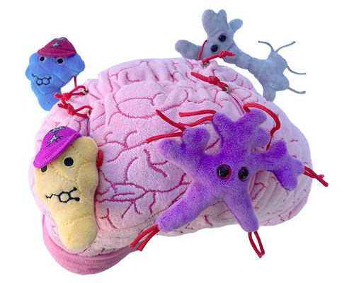 Deluxe Brain with Mini Cells and Transmitters