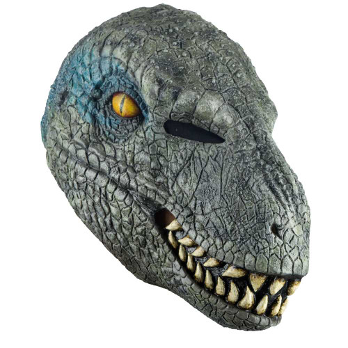 Raptor Mask