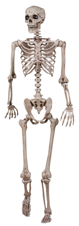 SKELETON POSEABLE - FREAKY FINDZ - Collectibles Masks Makeup Jewelry ...
