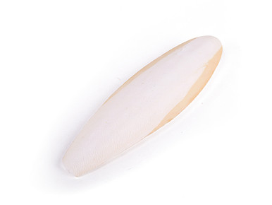 Kazoo Bird Cuttlebone Natural - Large 1pk - Mooey's Pty Ltd