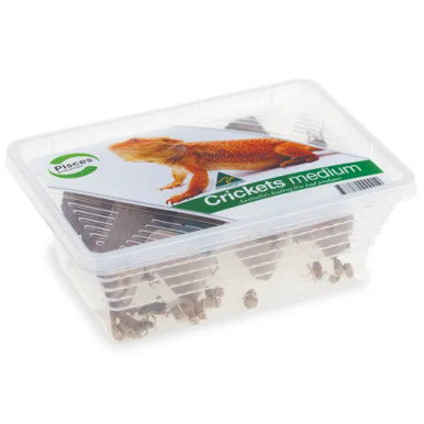 Pisces Live Food - Crickets Medium - Mooey's Pty Ltd