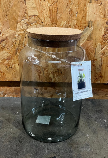 Terrarium Bottle W/Lid Medium Clear - Mooey's Pty Ltd