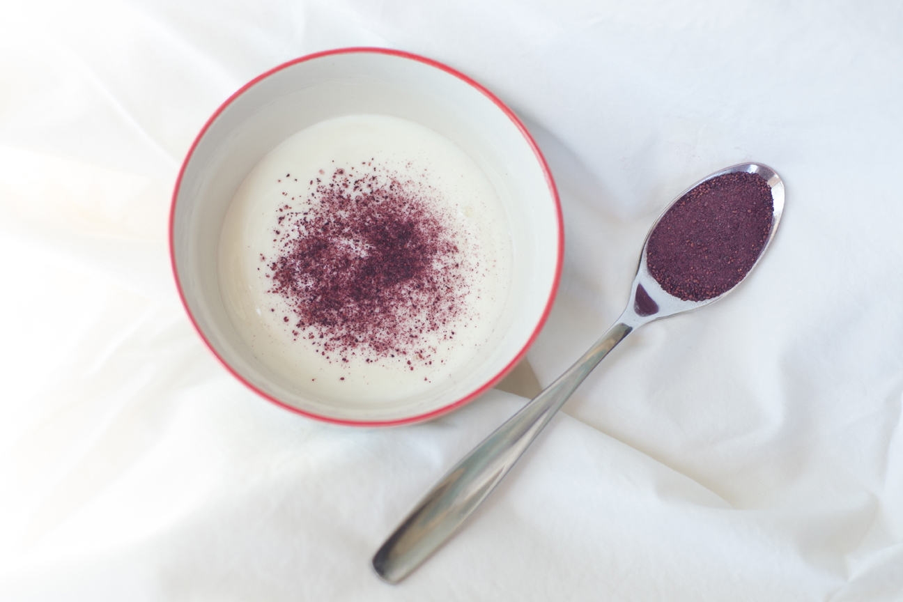 5 THINGS YOU DID NOT KNOW ABOUT WILD BLUEBERRIES - Giddy Yo