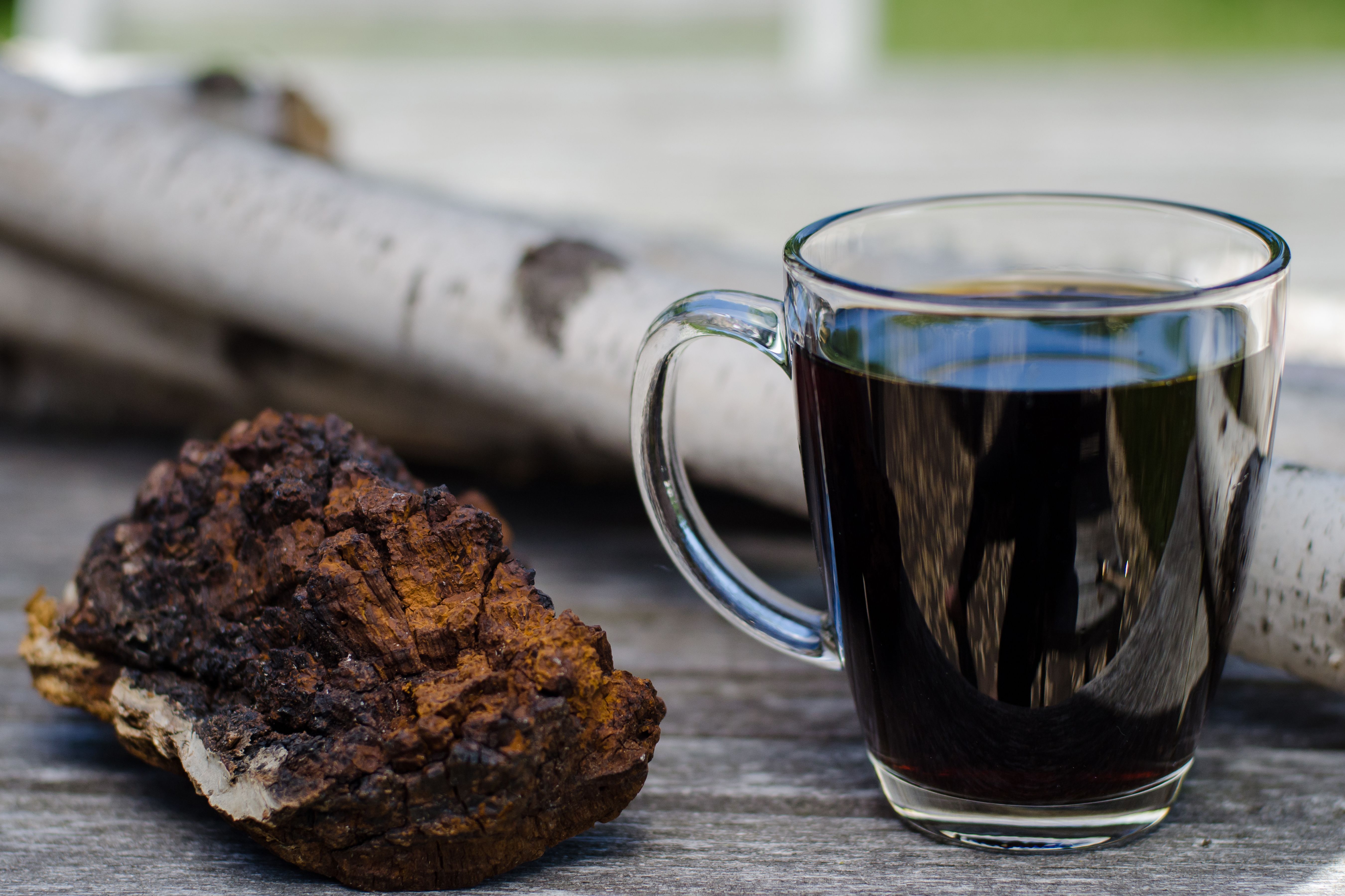 What is Chaga? - Giddy Yo