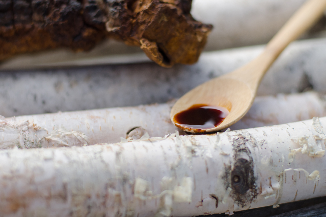 EVERYTHING You should know about Chaga - Giddy Yo