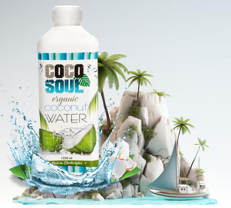 Giddy yo Coco Soul Organic Coconut Water | Pure Hydration + Natural ...