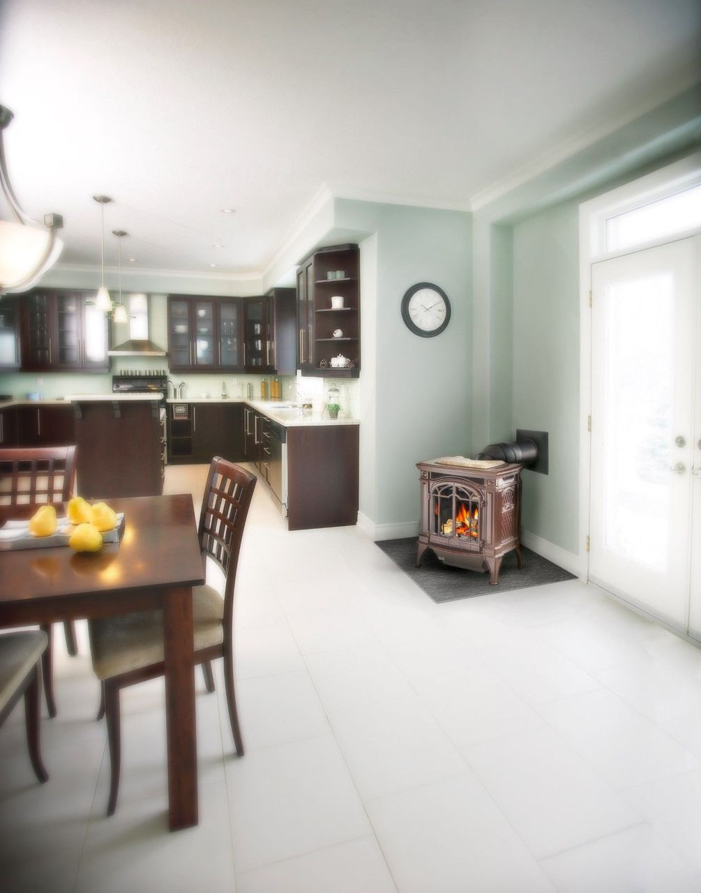 Napoleon Havelock GDS50 Gas Stove