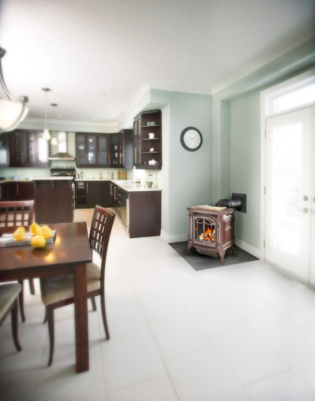 Napoleon Havelock GDS50 Gas Stove