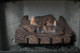 Everwarm Palmetto Oak Log Sets & Millivolt Vent Free Burner Combos
