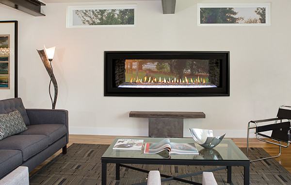 Boulevard 48" See Through Direct Vent Linear Gas Fireplace- Indoor To ...