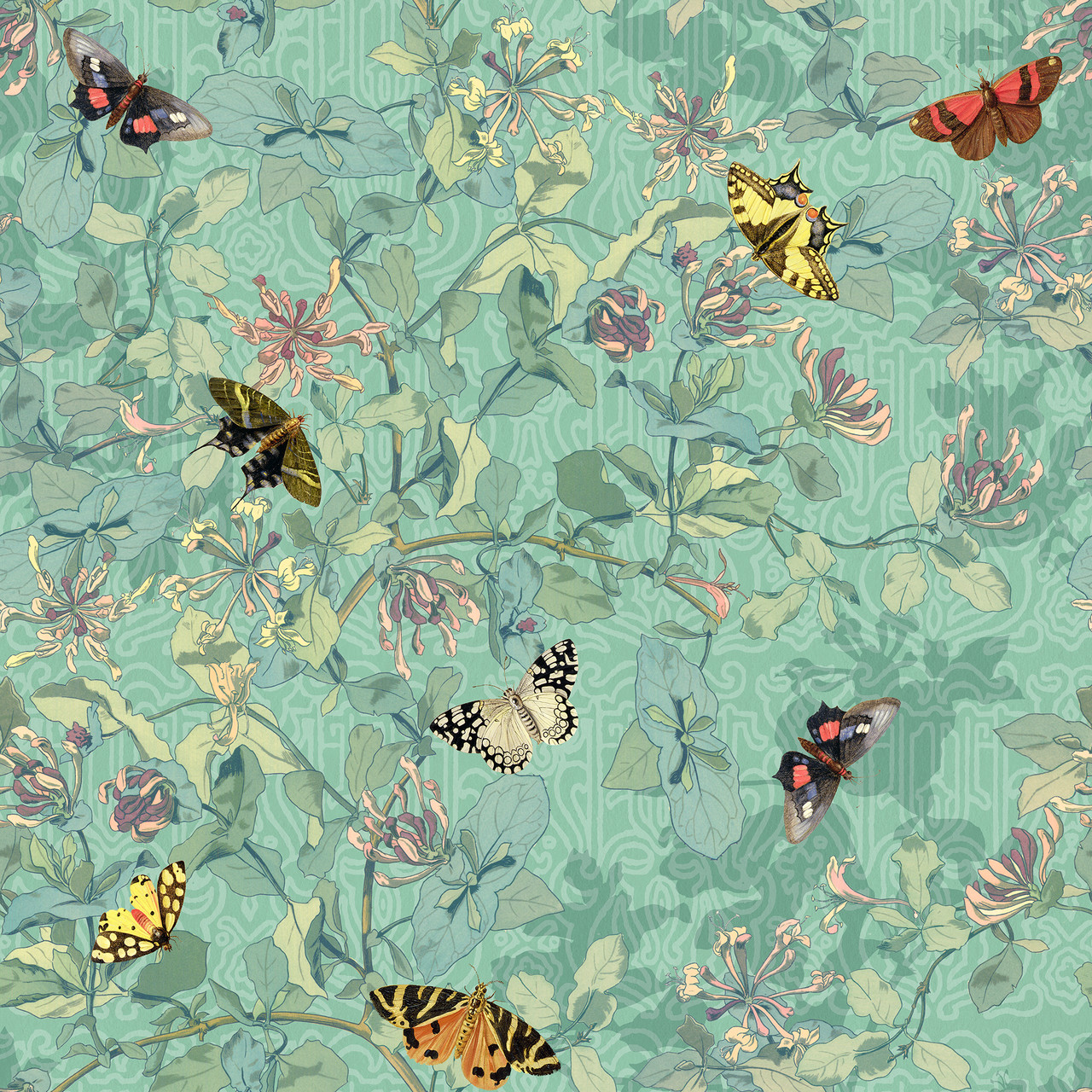 Morning Glory Butterflies Sample