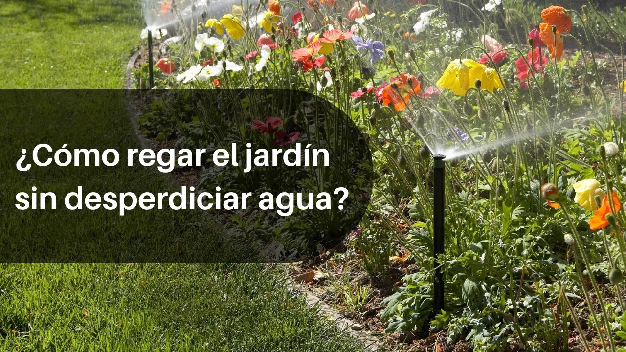 ¿Cómo regar el jardín sin desperdiciar agua? - Viga Innovación Hidráulica