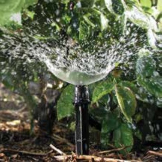 Antelco Spectrum Vortex Sprayer