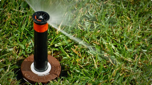 Hunter Pro Spray PRS30 4" with Check Valve