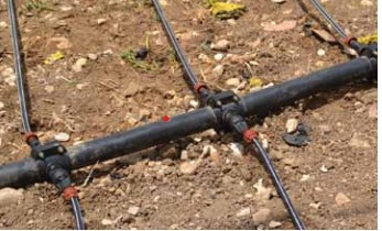 Rivulis 1/2" Multi-Purpose LDP
