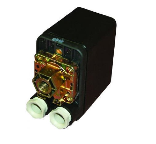 Pressure Switch (Up to 12 Bar)