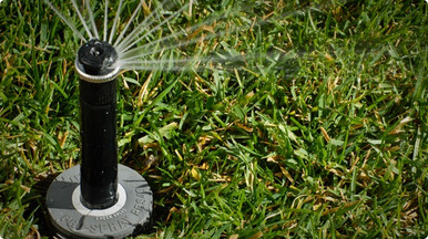 Hunter Pro Spray PRS40 6" with Check Valve