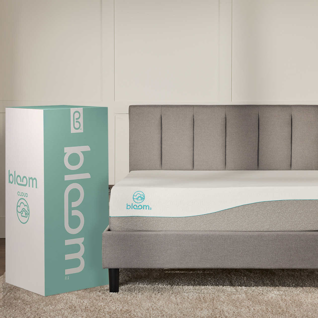 Bloom Cloud Mattress | bed In a Box | Sleep Country