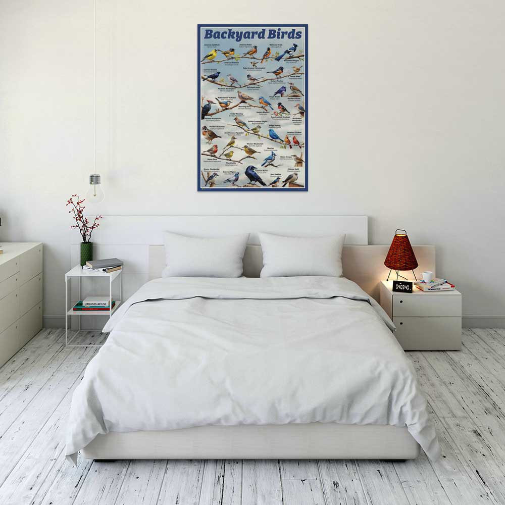 Backyard Birds Educational Poster - 24 x 36 inches - Blacklight.com