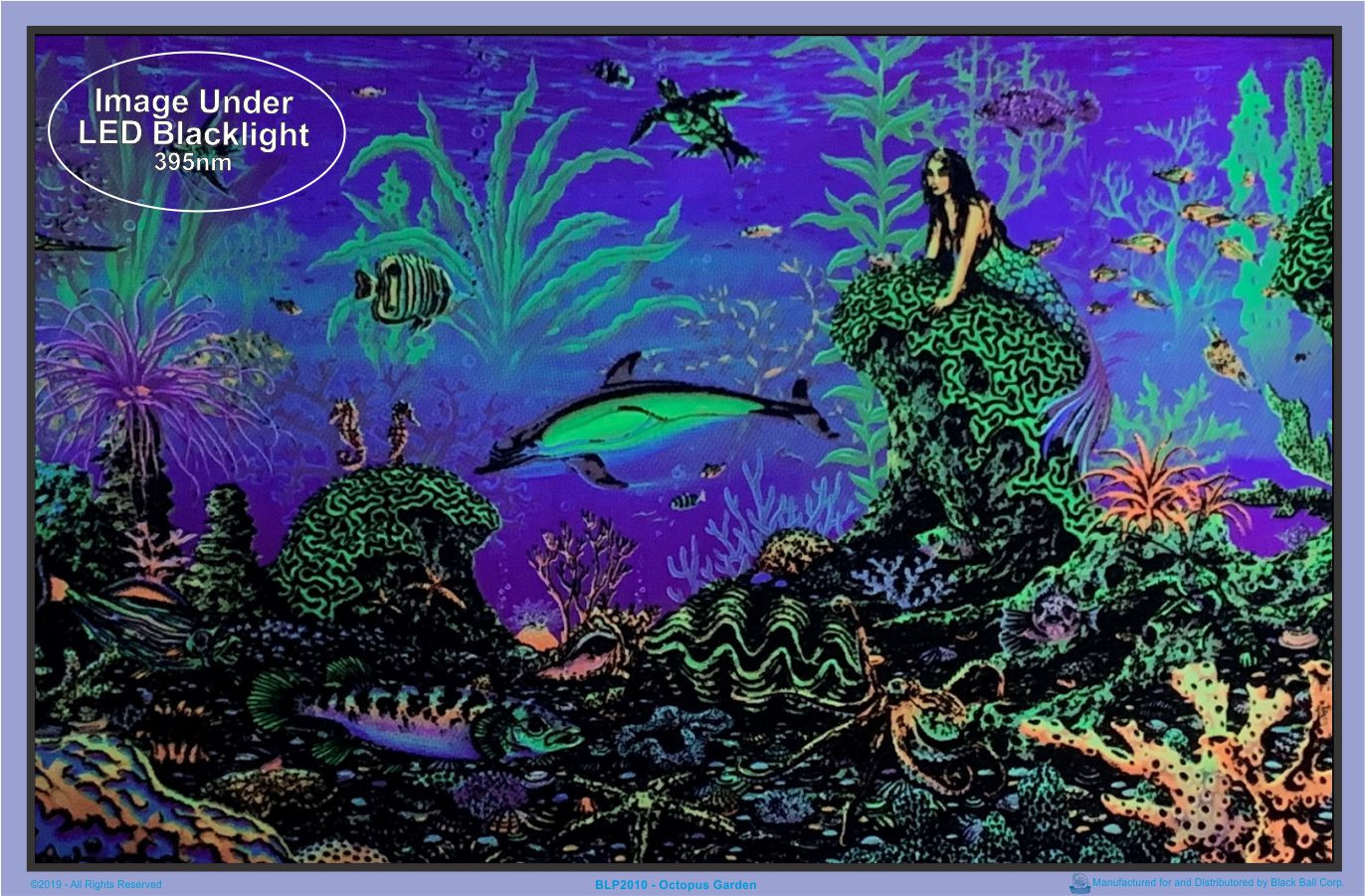Blacklight Shop - Blacklight Posters - Flocked - Animals - Blacklight.com