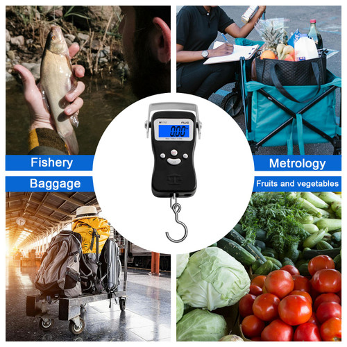 H-110 Digital Multifunction Hanging Scale, 110Lbs X 0.05 Lb American ...