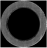 Tire DOT Code Scanning - VAIA STORE