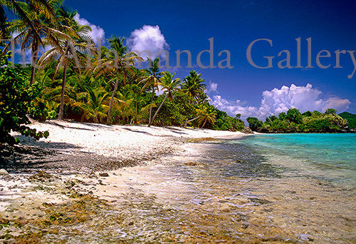 Little Thatch Traditional - The Allamanda Gallery