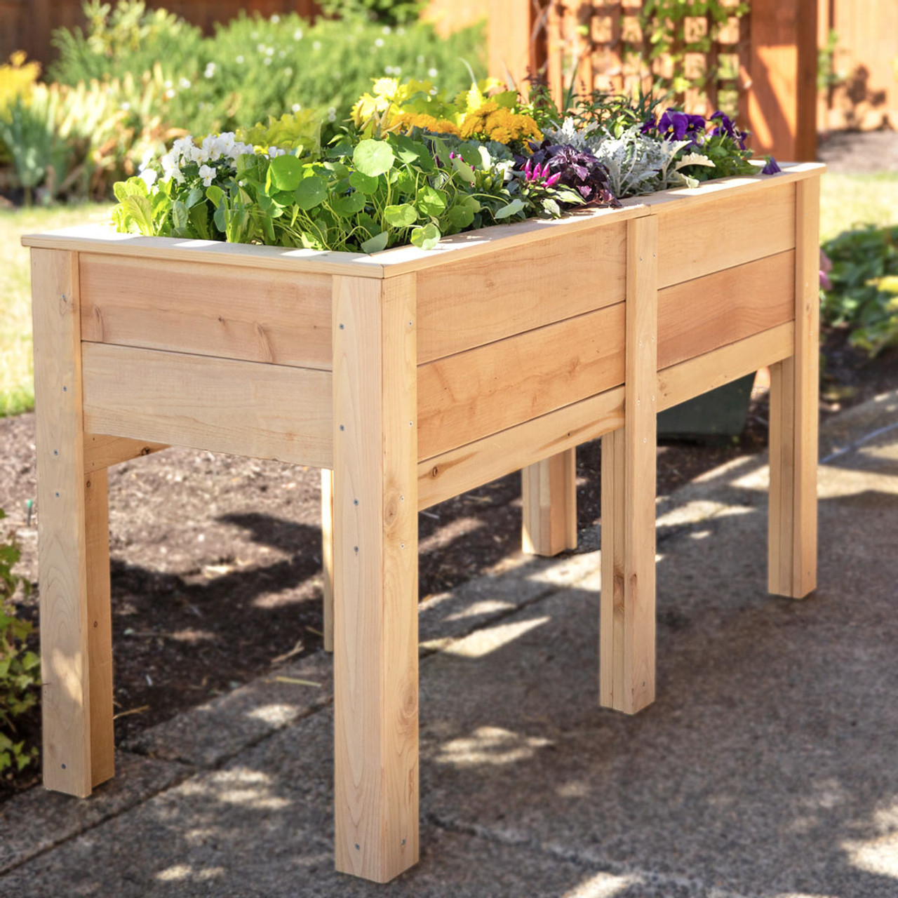 Raised planter boxes store