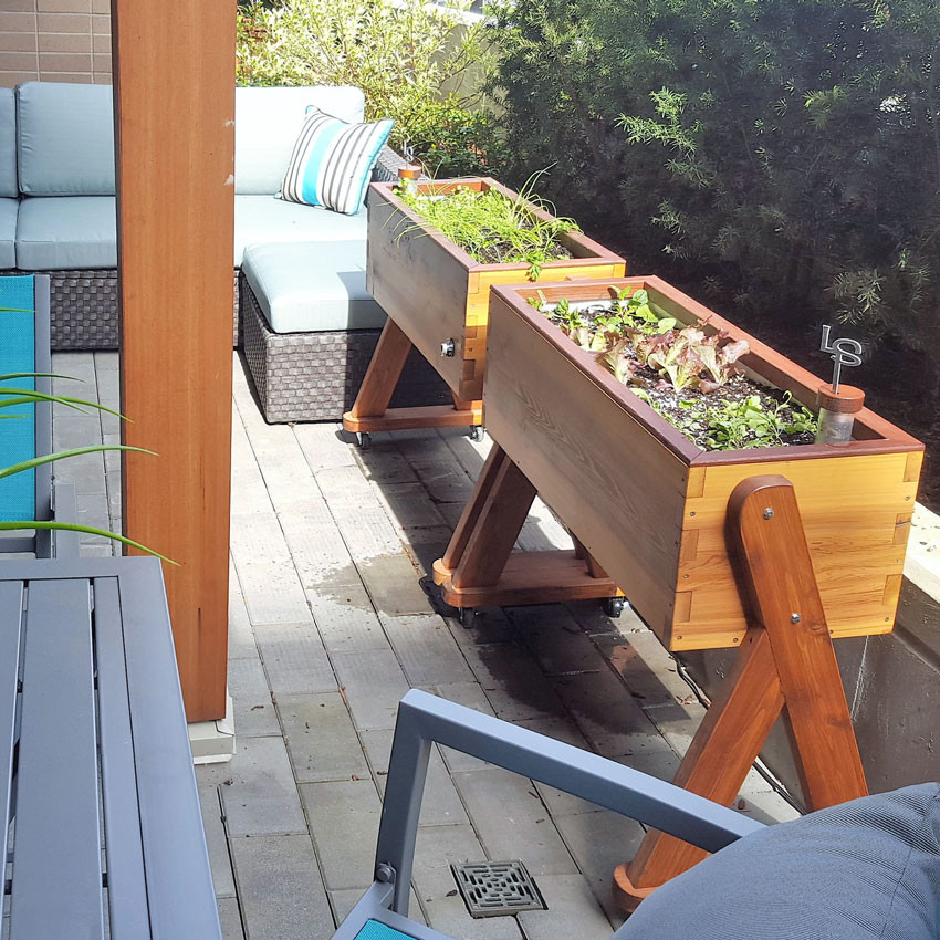 HighRise Self-Watering Elevated Cedar Planter Box - Eartheasy