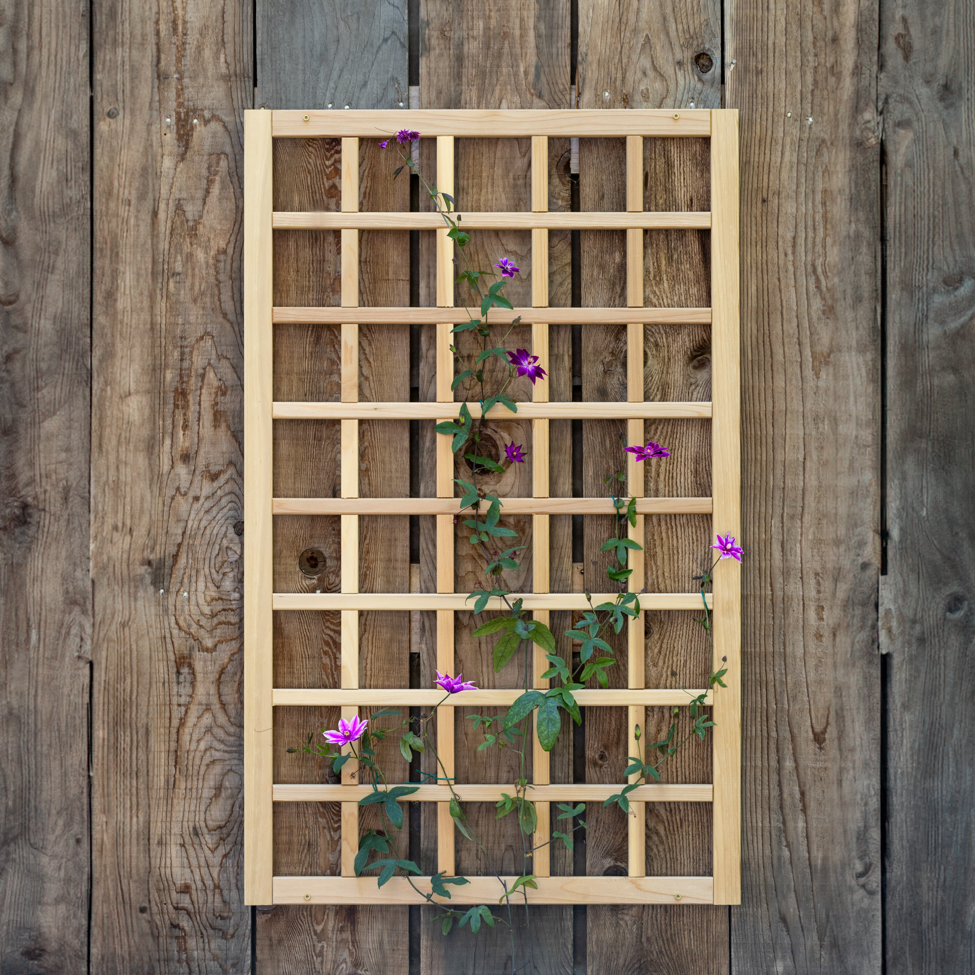 Natural Cedar Garden Wall Mounted Wood Trellises - Eartheasy